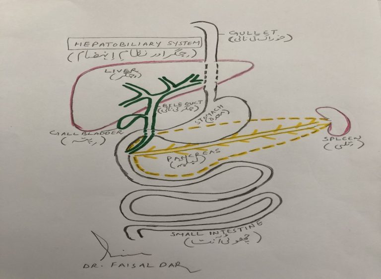Pancreatic resection for the surgical treatment of cancer - Dr Faisal Dar