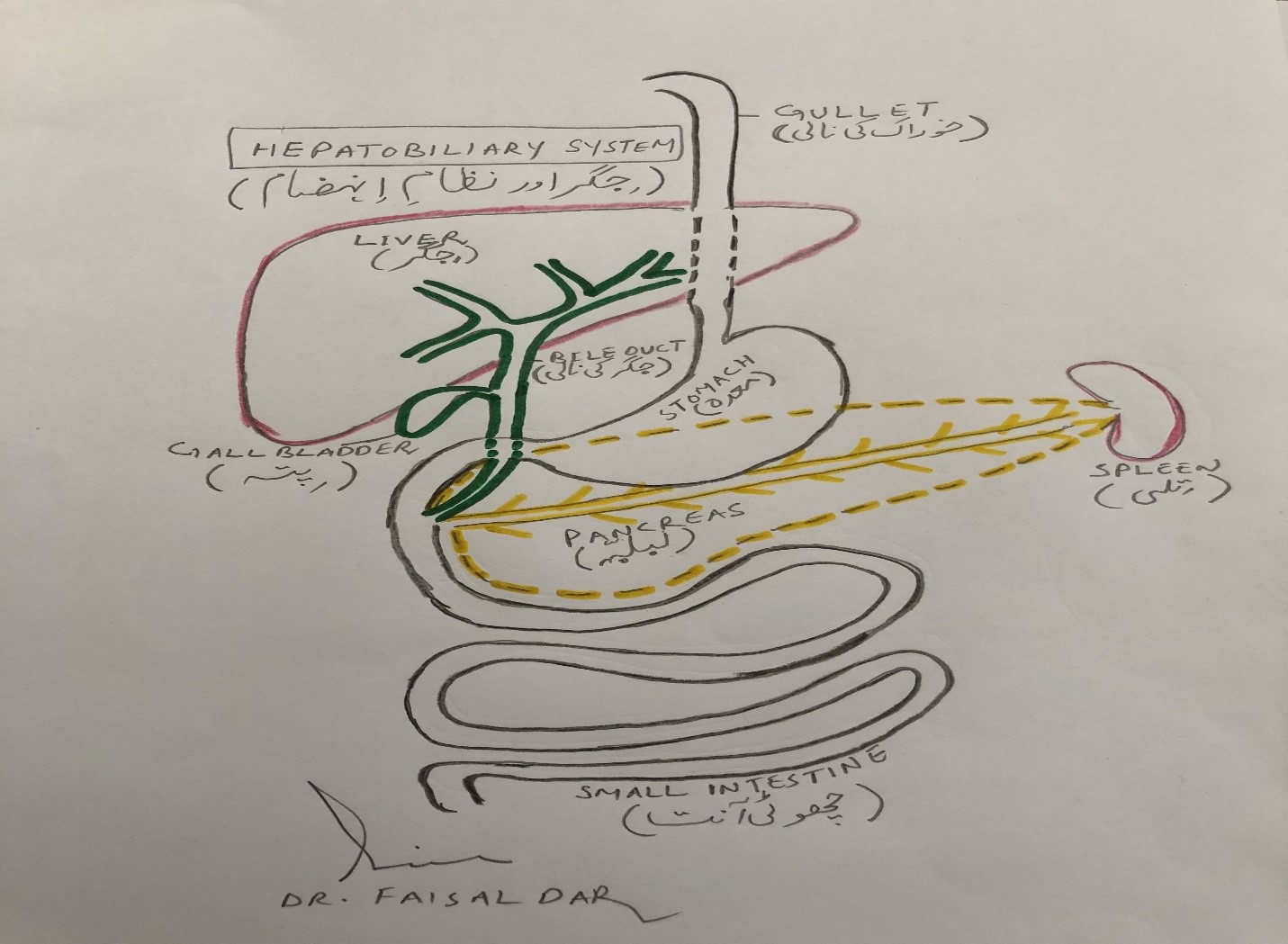 Laparoscopic Cholecystectomy - Dr Faisal Dar