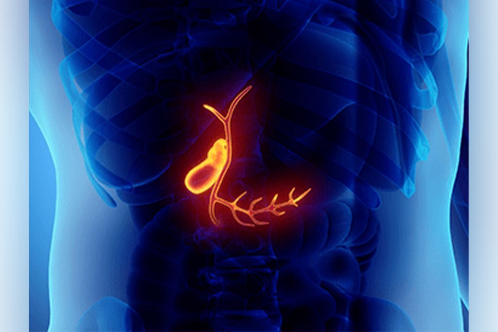 Gallbladder, It’s Purpose & Importance – Dr Faisal Dar